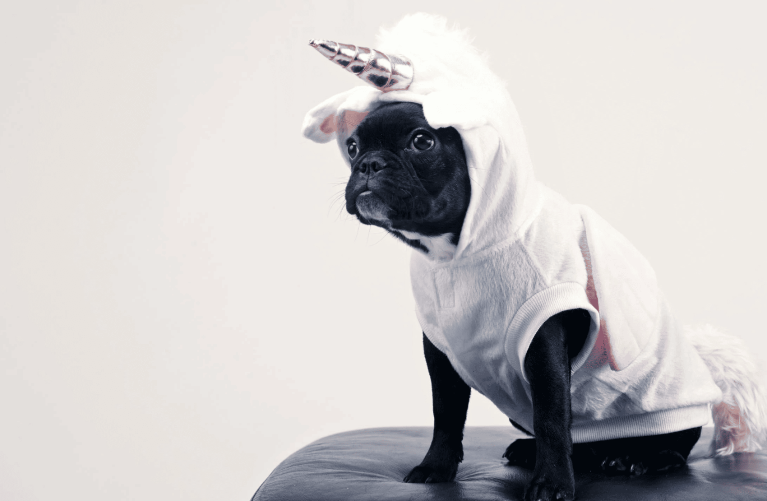 200 Short Bios for Instagram (Ready to Copy and Paste)